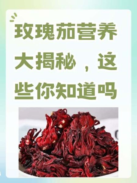 玫瑰茄能长期喝吗_玫瑰茄的功效与作用-第1张图片-山城妙识