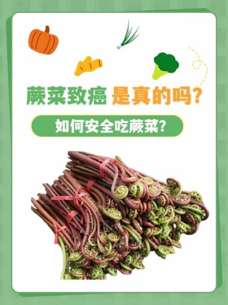 蕨菜致癌是真的吗_蕨菜致癌视频解析-第1张图片-山城妙识