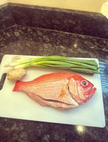 红鲷鱼是海鱼还是淡水鱼_红鲷鱼能淡水养殖吗-第1张图片-山城妙识