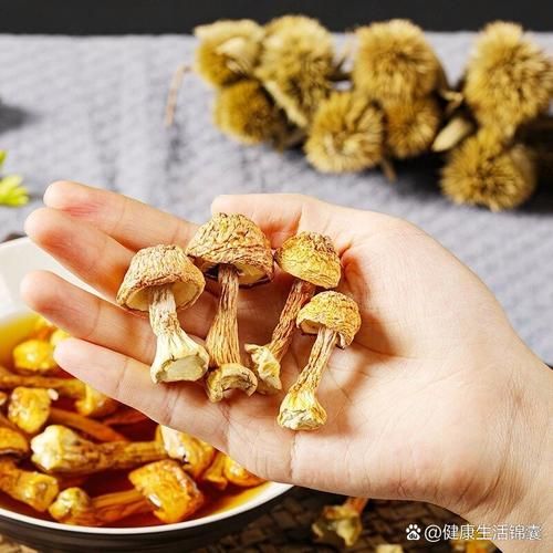 赤松茸怎么吃_赤松茸做法大全-第3张图片-山城妙识