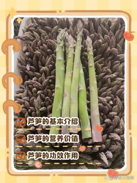 芦笋是什么植物_芦笋的营养价值有哪些-第2张图片-山城妙识 芦笋是什么植物_芦笋的营养价值有哪些-第2张图片-山城妙识