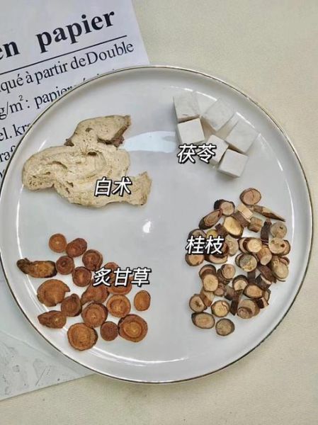 张仲景健脾祛湿第一方是什么_苓桂术甘汤怎么用-第1张图片-山城妙识