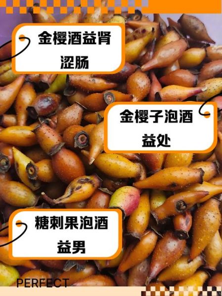 刺果子是什么_刺果子怎么吃-第3张图片-山城妙识 刺果子是什么_刺果子怎么吃-第3张图片-山城妙识