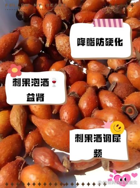 刺果子是什么_刺果子怎么吃-第2张图片-山城妙识 刺果子是什么_刺果子怎么吃-第2张图片-山城妙识