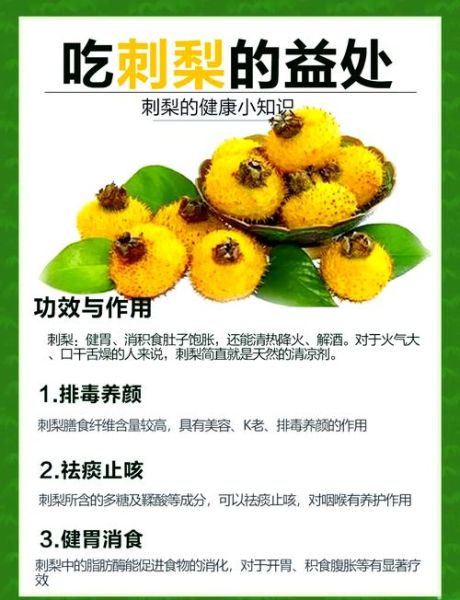 刺果子是什么_刺果子怎么吃-第1张图片-山城妙识 刺果子是什么_刺果子怎么吃-第1张图片-山城妙识