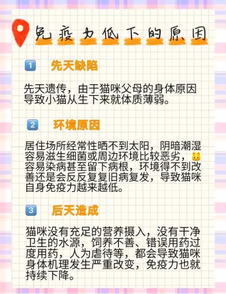 免疫力低下的5个迹象_如何提高免疫力-第3张图片-山城妙识 免疫力低下的5个迹象_如何提高免疫力-第3张图片-山城妙识