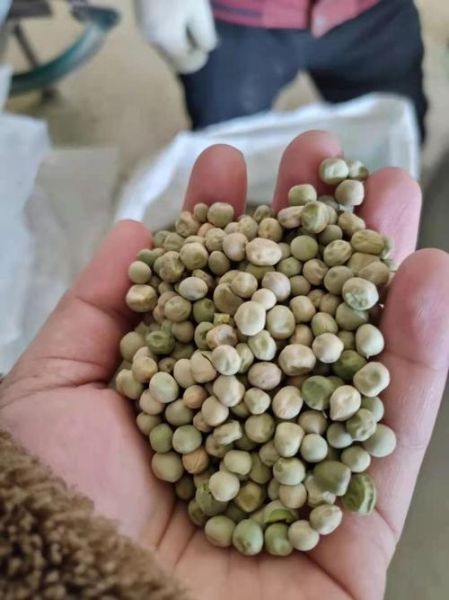 干豌豆怎么泡发_干豌豆怎么吃最好吃-第3张图片-山城妙识