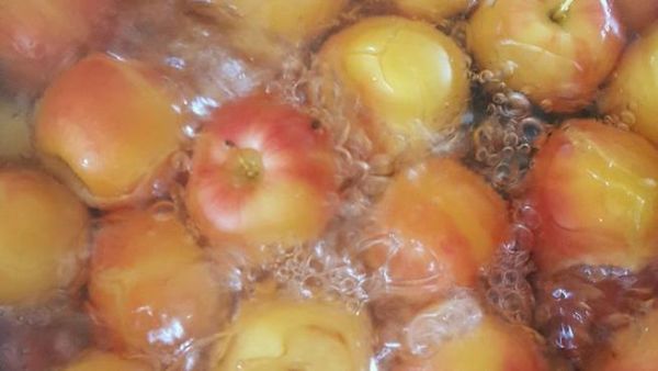 沙果罐头家庭自制法_沙果罐头怎么保存-第2张图片-山城妙识