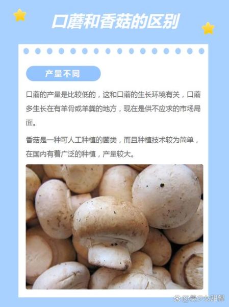 白蘑菇和口蘑的区别_哪个更好吃-第3张图片-山城妙识