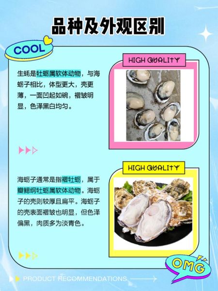生牡蛎怎么保存_生牡蛎图片如何辨别新鲜度-第2张图片-山城妙识