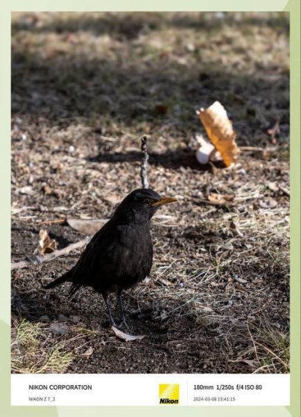 乌鸫科技是做什么的_乌鸫科技怎么样-第3张图片-山城妙识