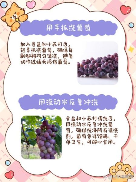葡萄用盐水能洗干净吗_盐水泡多久才安全-第2张图片-山城妙识