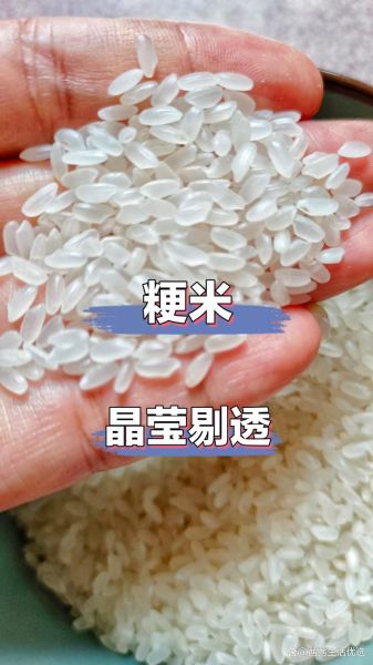粳米好吃吗_粳米口感怎么样-第1张图片-山城妙识