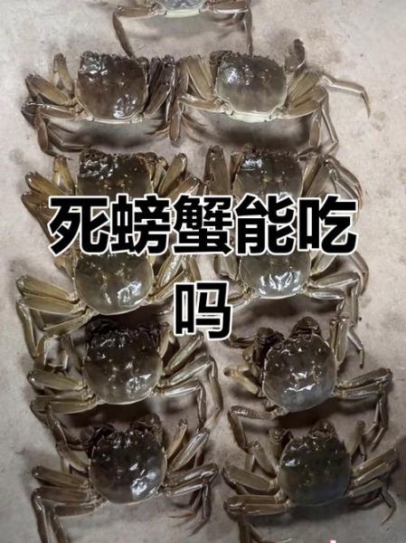 大闸蟹死了能不能吃了_死了多久不能吃-第2张图片-山城妙识