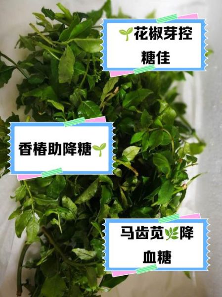 血糖最怕的一种野菜是什么_怎么吃降糖最快-第3张图片-山城妙识