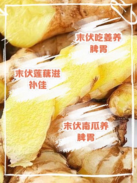 末伏吃什么_末伏养生食谱推荐-第1张图片-山城妙识