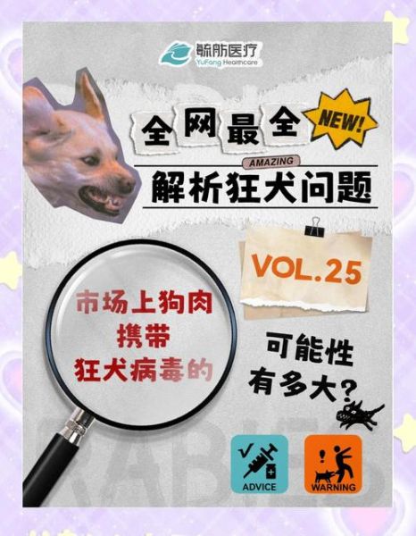 吃狗肉会得狂犬病吗_狗肉煮熟后还有病毒吗-第1张图片-山城妙识