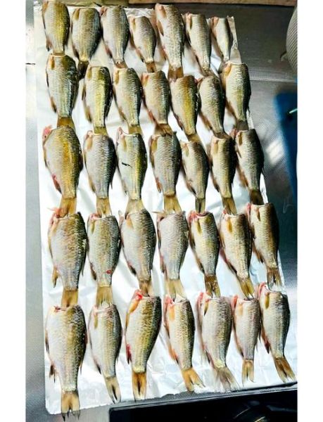 河南糟鱼的做法_糟鱼产地在哪里-第2张图片-山城妙识