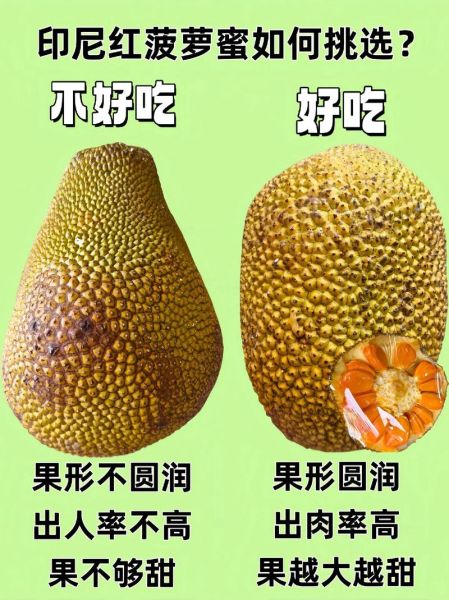 各种水果图片大全大图_如何挑选高清水果图-第3张图片-山城妙识