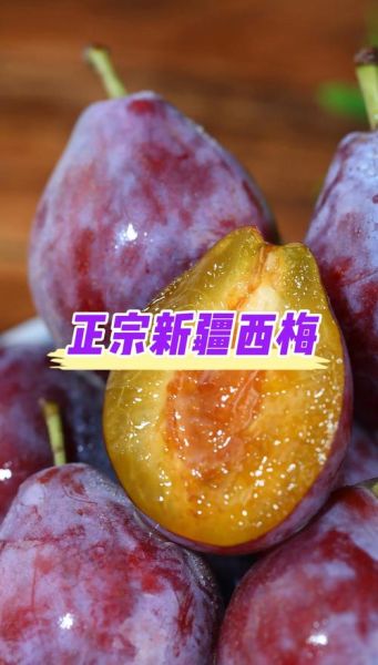 新疆西梅怎么吃_新疆西梅的正确吃法-第1张图片-山城妙识
