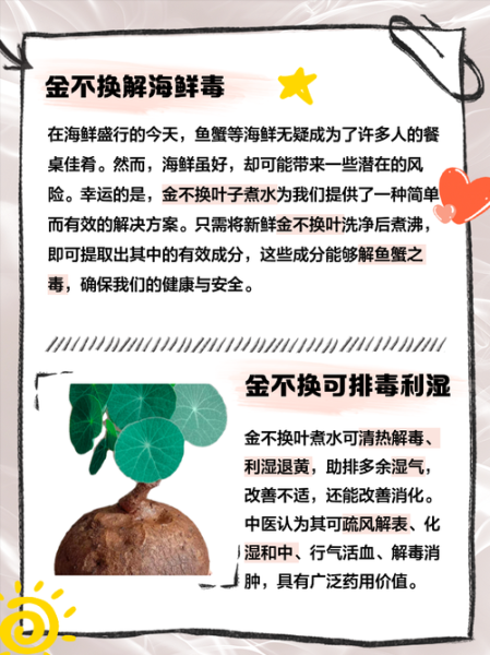 金不换别名叫什么_金不换中药别名大全-第2张图片-山城妙识