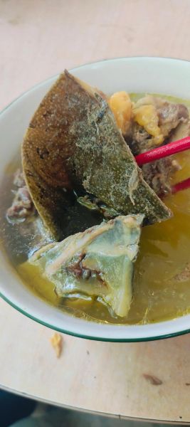 甲鱼汤的做法_甲鱼汤怎么炖不腥-第3张图片-山城妙识 甲鱼汤的做法_甲鱼汤怎么炖不腥-第3张图片-山城妙识