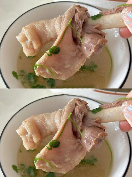 正宗老鹅汤的做法窍门_老鹅汤去腥增香技巧-第1张图片-山城妙识