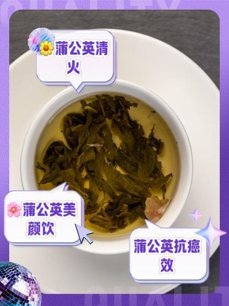 蒲公英茶对女性的作用_女人喝蒲公英茶有什么好处-第3张图片-山城妙识