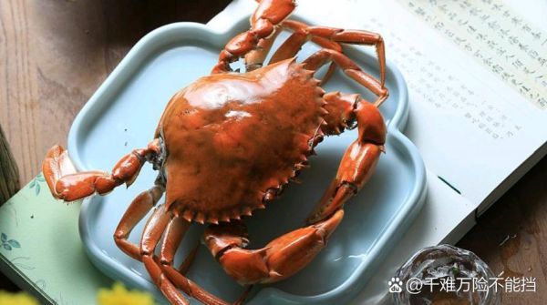 洗螃蟹最简单的方法是盐_螃蟹用盐水泡多久才干净-第3张图片-山城妙识