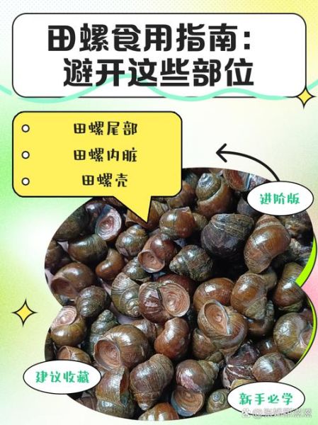 孕妇能吃田螺吗_怀孕吃田螺注意事项-第1张图片-山城妙识