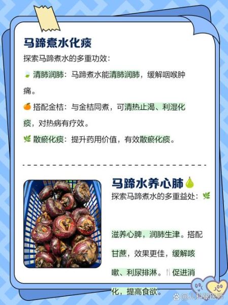 煮熟马蹄的功效与禁忌_哪些人不能吃-第1张图片-山城妙识