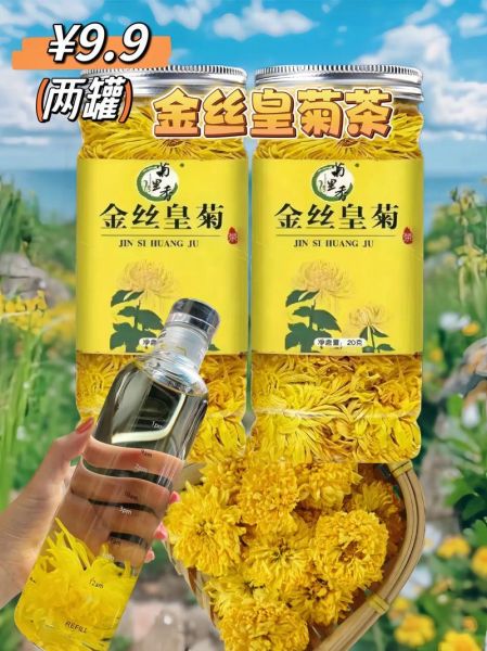 菊花茶哪种好_效果最好的菊花茶是哪种-第3张图片-山城妙识