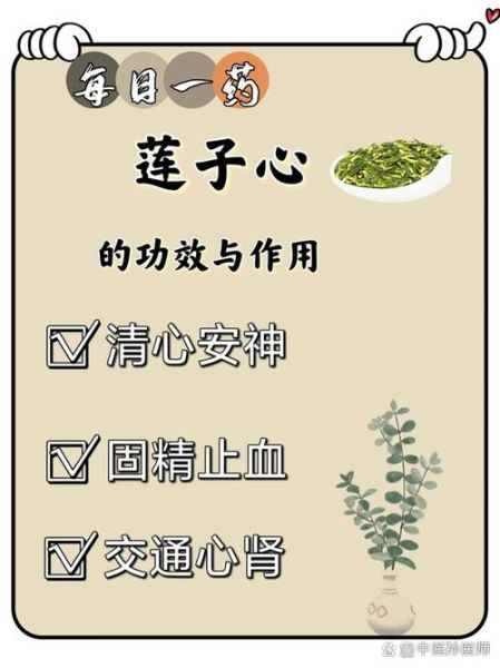 莲子心的功效与作用禁忌_莲子心怎么吃-第2张图片-山城妙识