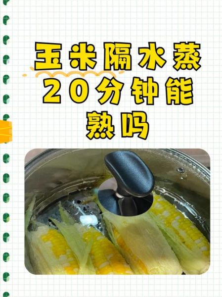 玉米蒸多长时间_蒸玉米的正确步骤-第1张图片-山城妙识