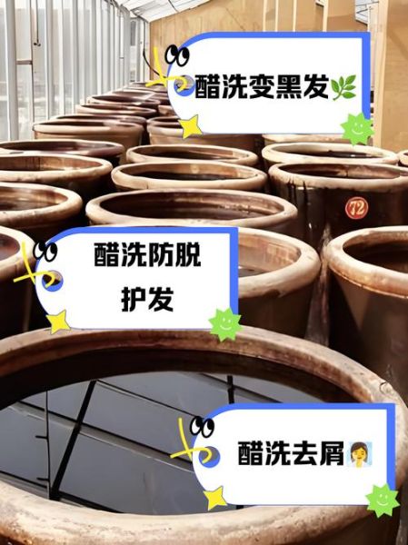 白醋洗头正确方法_白醋洗头多久一次-第3张图片-山城妙识 白醋洗头正确方法_白醋洗头多久一次-第3张图片-山城妙识