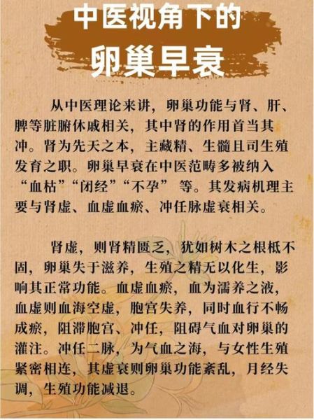 卵巢保养吃什么保健品_卵巢早衰吃什么调理-第3张图片-山城妙识