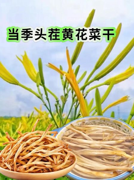 干黄花菜泡多久_干黄花菜泡多久才能吃-第1张图片-山城妙识 干黄花菜泡多久_干黄花菜泡多久才能吃-第1张图片-山城妙识