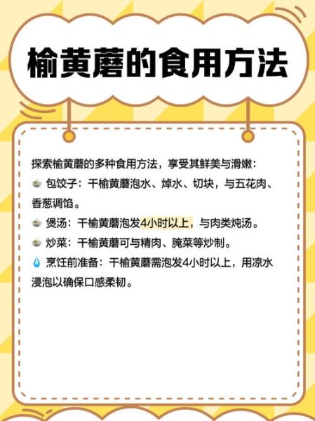 榆黄蘑多少钱一斤_榆黄蘑价格行情-第1张图片-山城妙识 榆黄蘑多少钱一斤_榆黄蘑价格行情-第1张图片-山城妙识