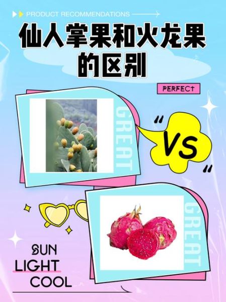 火龙果树是仙人掌吗_火龙果和仙人掌区别-第1张图片-山城妙识