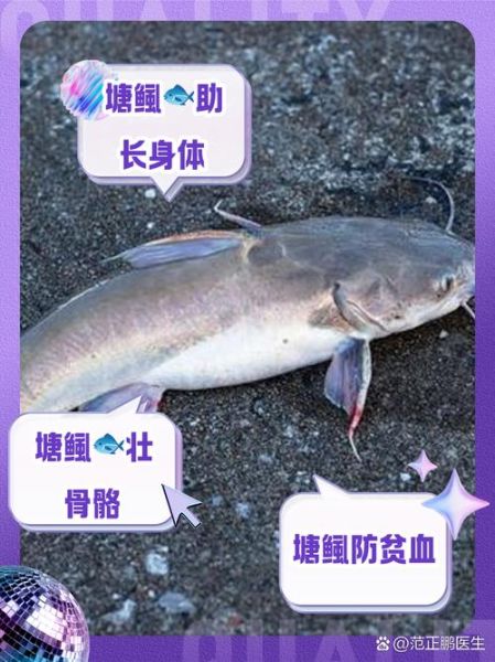 塘鲺鱼的功效与禁忌_什么人不能吃塘鲺鱼-第1张图片-山城妙识