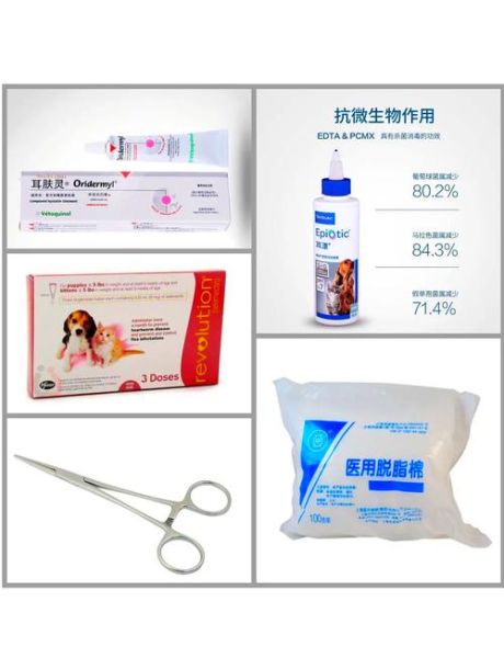 猫耳朵里长耳螨怎么治_猫耳螨用什么药最有效-第3张图片-山城妙识
