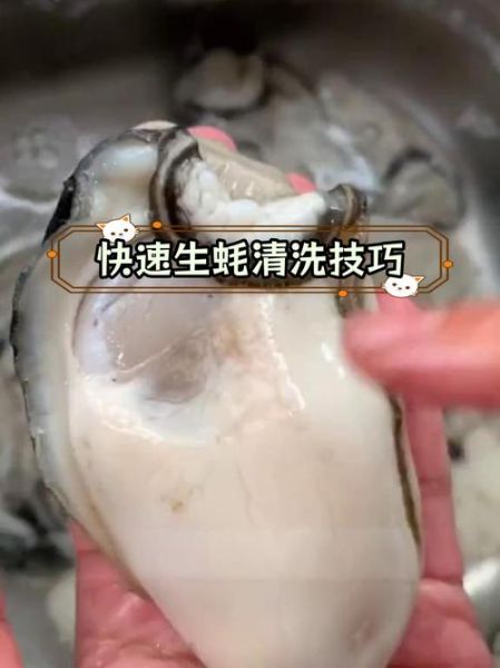 牡蛎的内脏和屎能吃吗_牡蛎内脏清理方法-第1张图片-山城妙识 牡蛎的内脏和屎能吃吗_牡蛎内脏清理方法-第1张图片-山城妙识