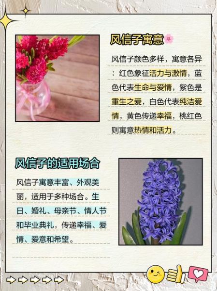 风信子花语是什么_风信子寓意有哪些-第3张图片-山城妙识