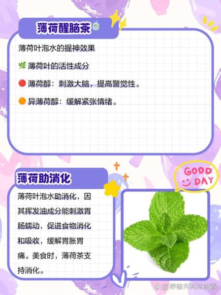 薄荷叶泡水喝的禁忌_薄荷叶的副作用有哪些-第1张图片-山城妙识