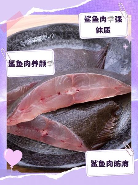 鲨鱼肉的营养价值_孕妇能吃鲨鱼肉吗-第1张图片-山城妙识