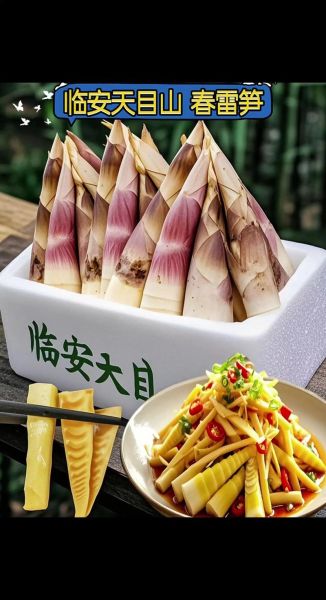 竹笋哪个牌子好_竹笋十大品牌推荐-第3张图片-山城妙识