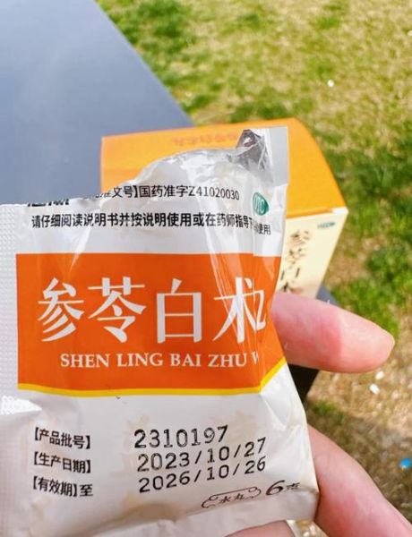 健脾丸和参苓白术哪个除湿气_湿气重怎么选-第1张图片-山城妙识