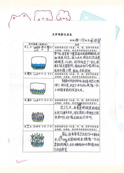 绿豆发芽过程_绿豆观察日记怎么写-第2张图片-山城妙识 绿豆发芽过程_绿豆观察日记怎么写-第2张图片-山城妙识
