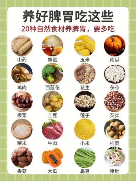 养胃吃什么食物最好窍门_养胃食物推荐-第3张图片-山城妙识