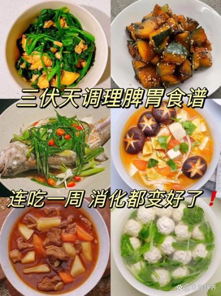 养胃吃什么食物最好窍门_养胃食物推荐-第2张图片-山城妙识